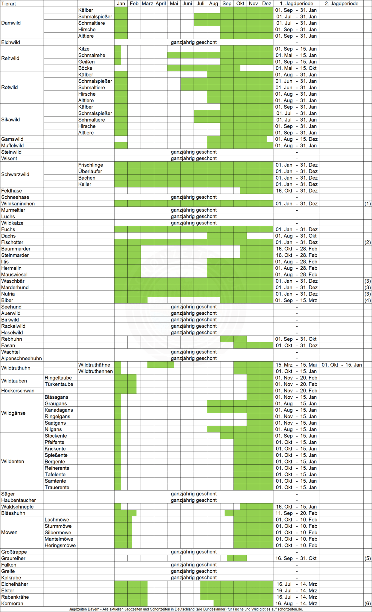 Jagdzeiten Bayern 2026
