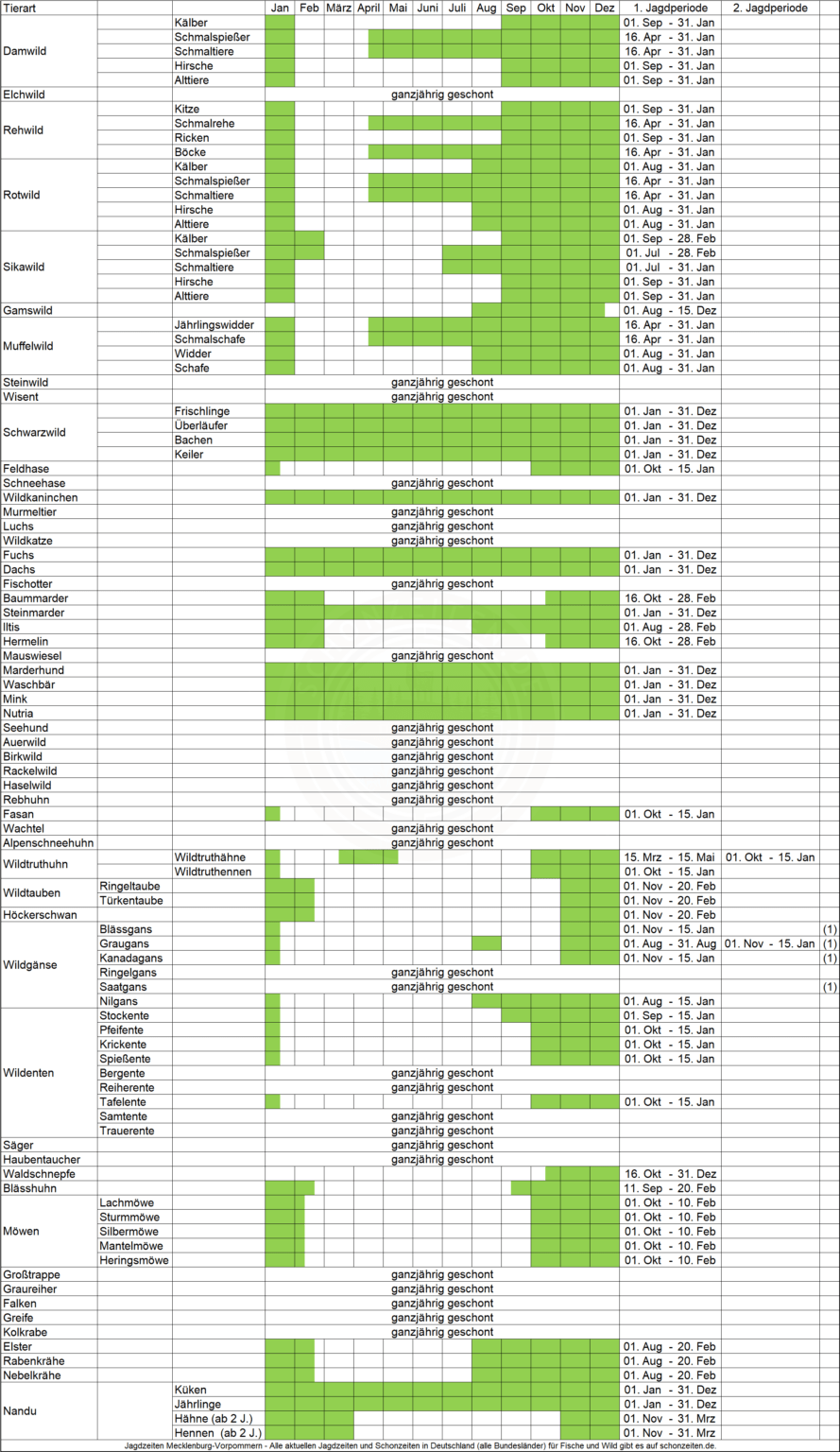 Jagdzeiten MV – Mecklenburg-Vorpommern 2025