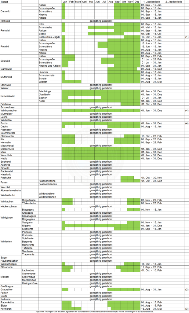 Jagdzeiten Thüringen 2025